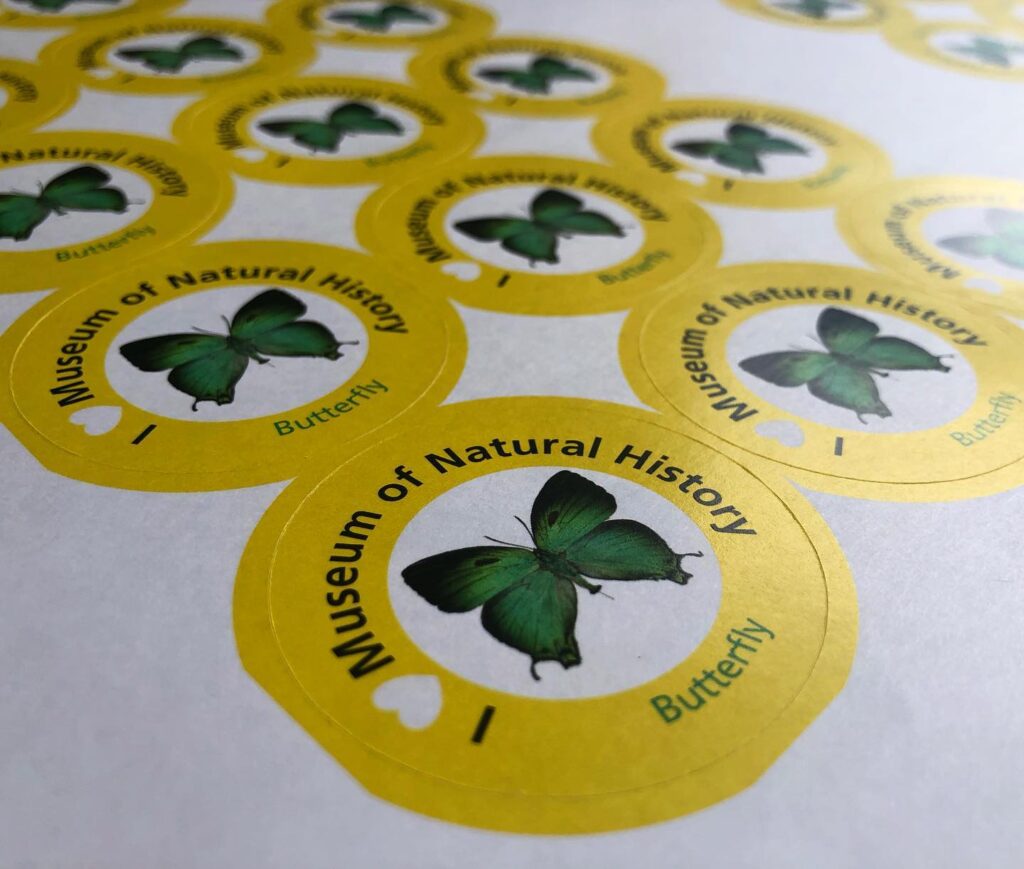 Paper Labels - Custom printed on recycled adhesive sheets.